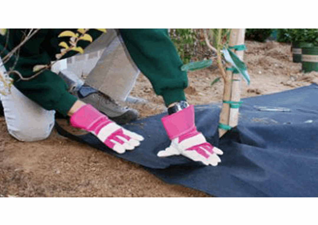 TYPAR Landscape Fabric - 4ft x 300ft – FSBulk.com